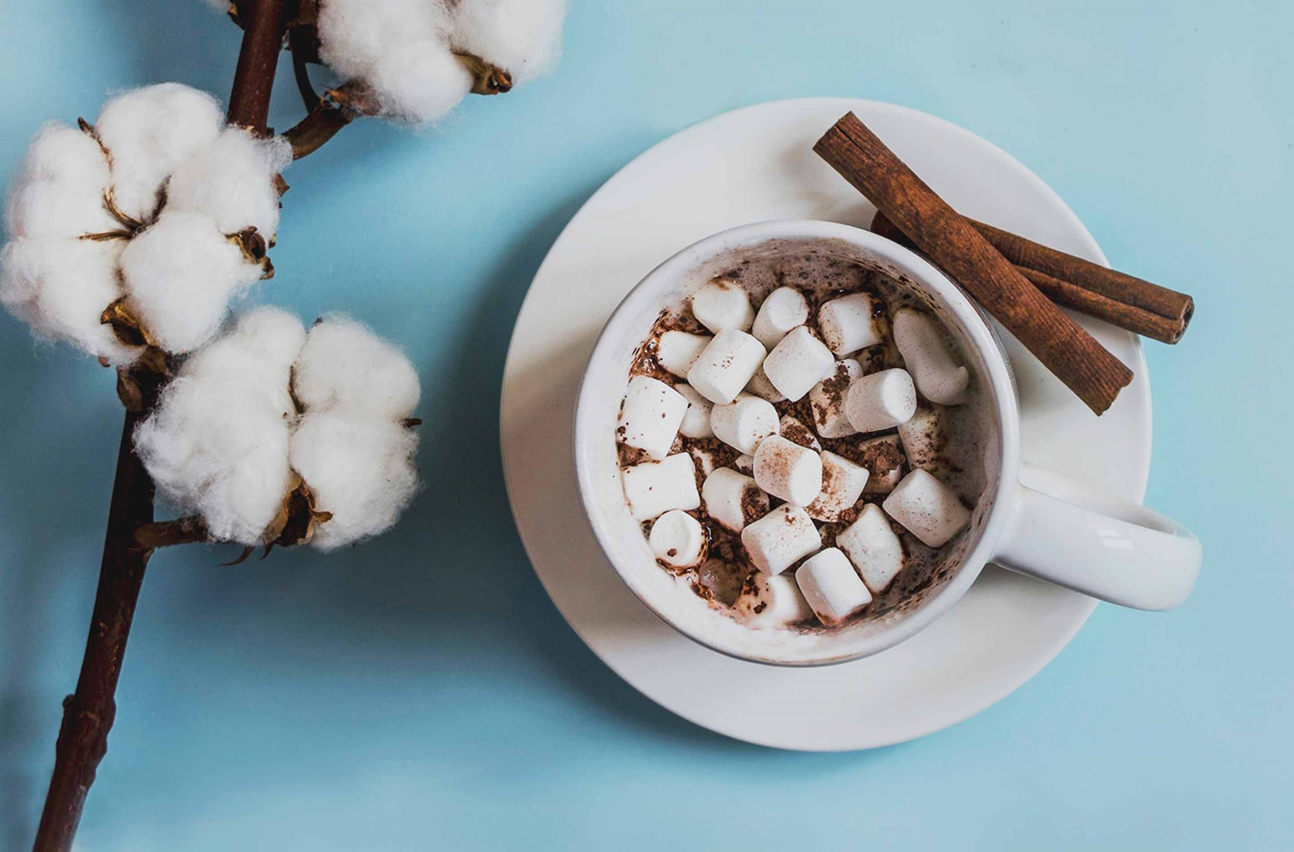 Video Recipe: Making Homemade Marshmallows – HYC